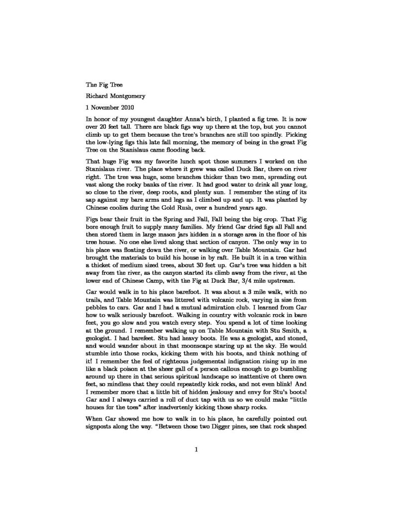 The Fig Tree (PDF) - The Stan | The Stan