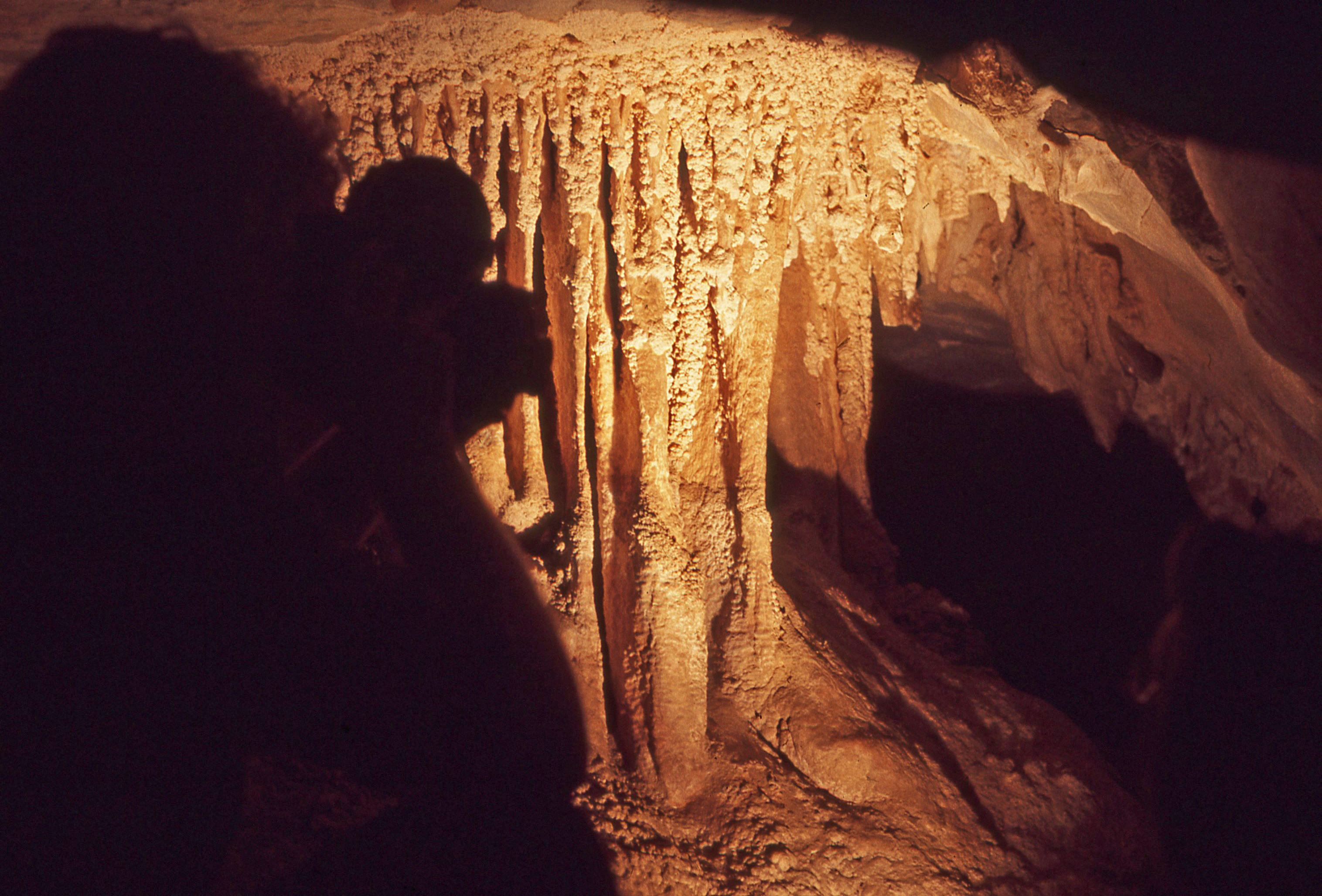 Coral Cave - classic view of stalagtites and stalagmites blending ...