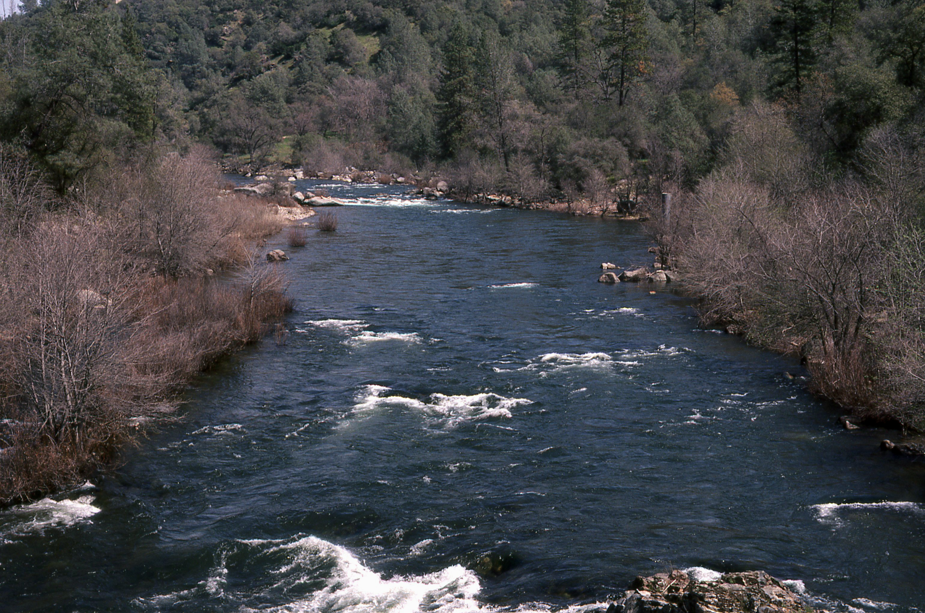 View upstream to Fred's Rapid, from Parrott's Ferry Bridge - The Stan ...